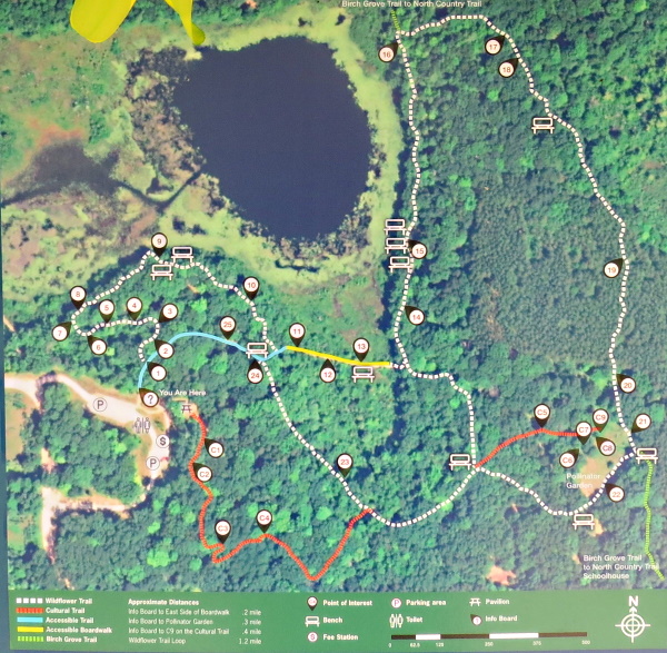 Get a 'Loda' This: The Loda Wildflower Sanctuary