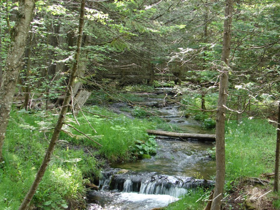 Stretch Your Legs at the Seven Bridges Nature Area