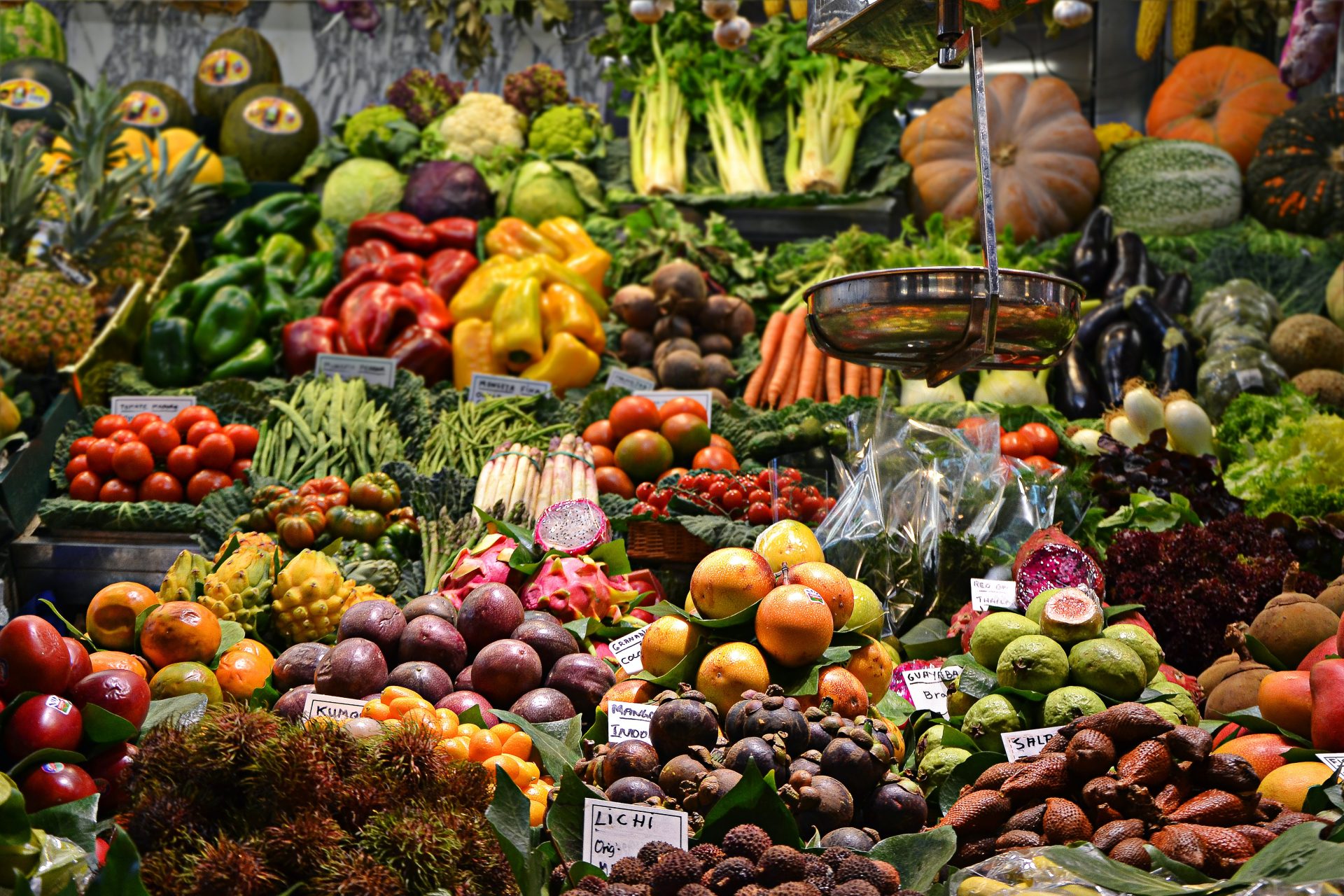 RFK Jr., Congressman Barrett Promote Healthy Eating at Charlotte Farm Event