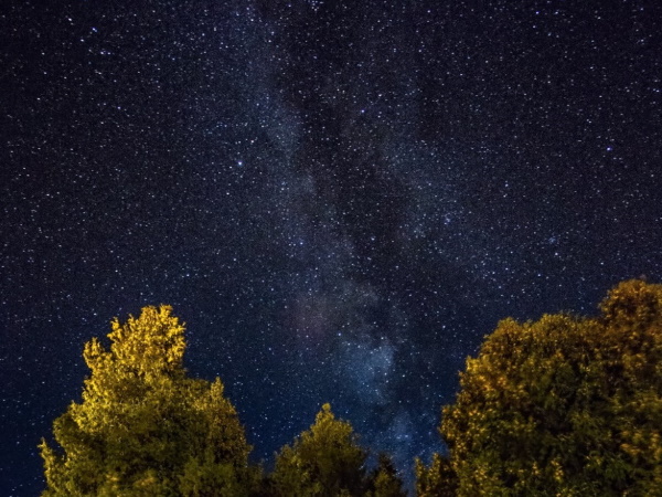 Meteor Shower Gives Michiganders a 'Dark Sky' Show