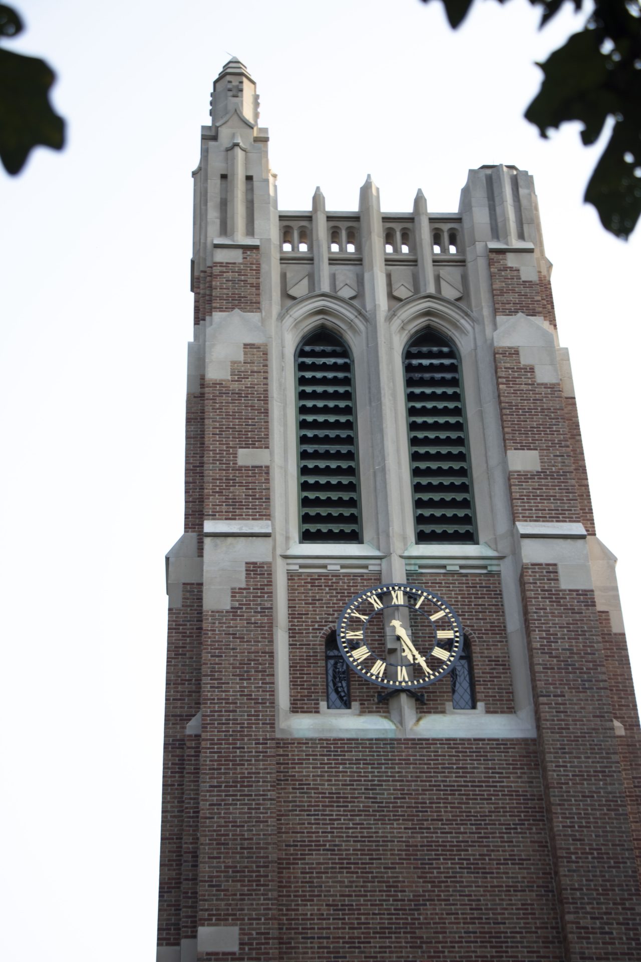MSU Trustee Pat O'Keefe Resigns, Cites 'Serious Concerns' About School ...