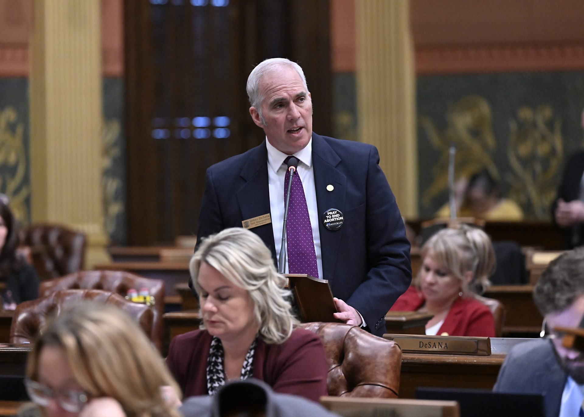 Michigan GOP Representative: '[Democrats]' Expect Us to Fiddle While ...