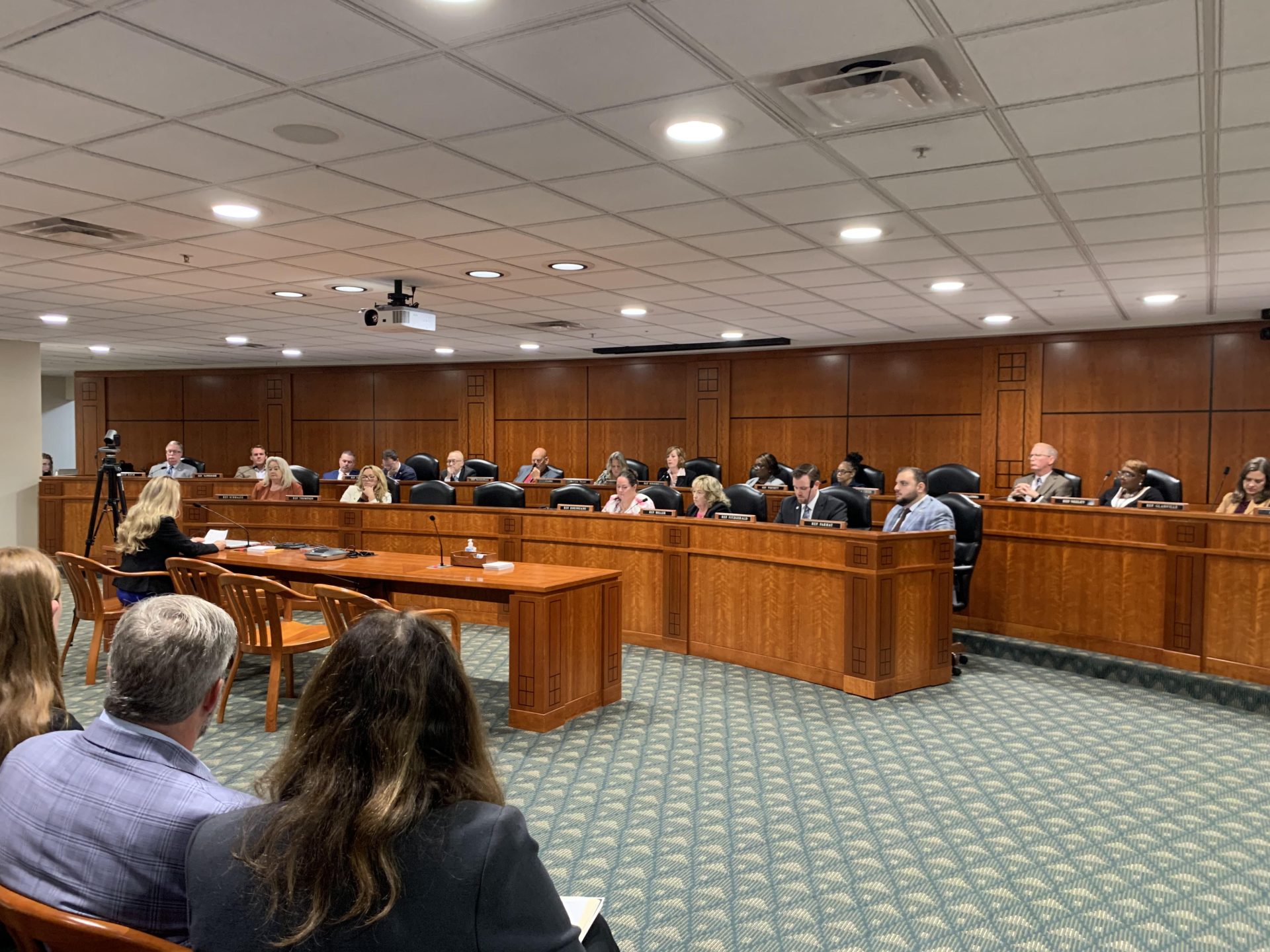 House Committee Hears Merits and Concerns for Reproductive Health Act Bills