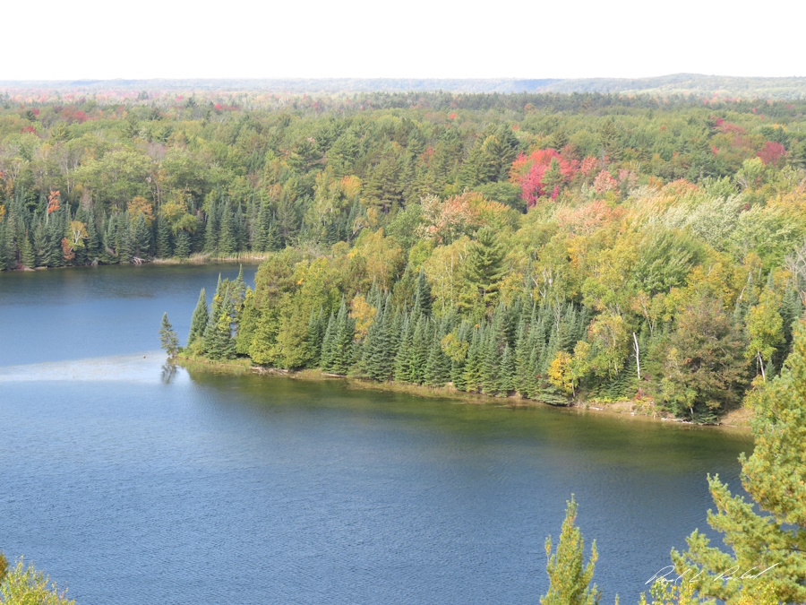 A Color Tour to Remember: Au Sable River Highbanks