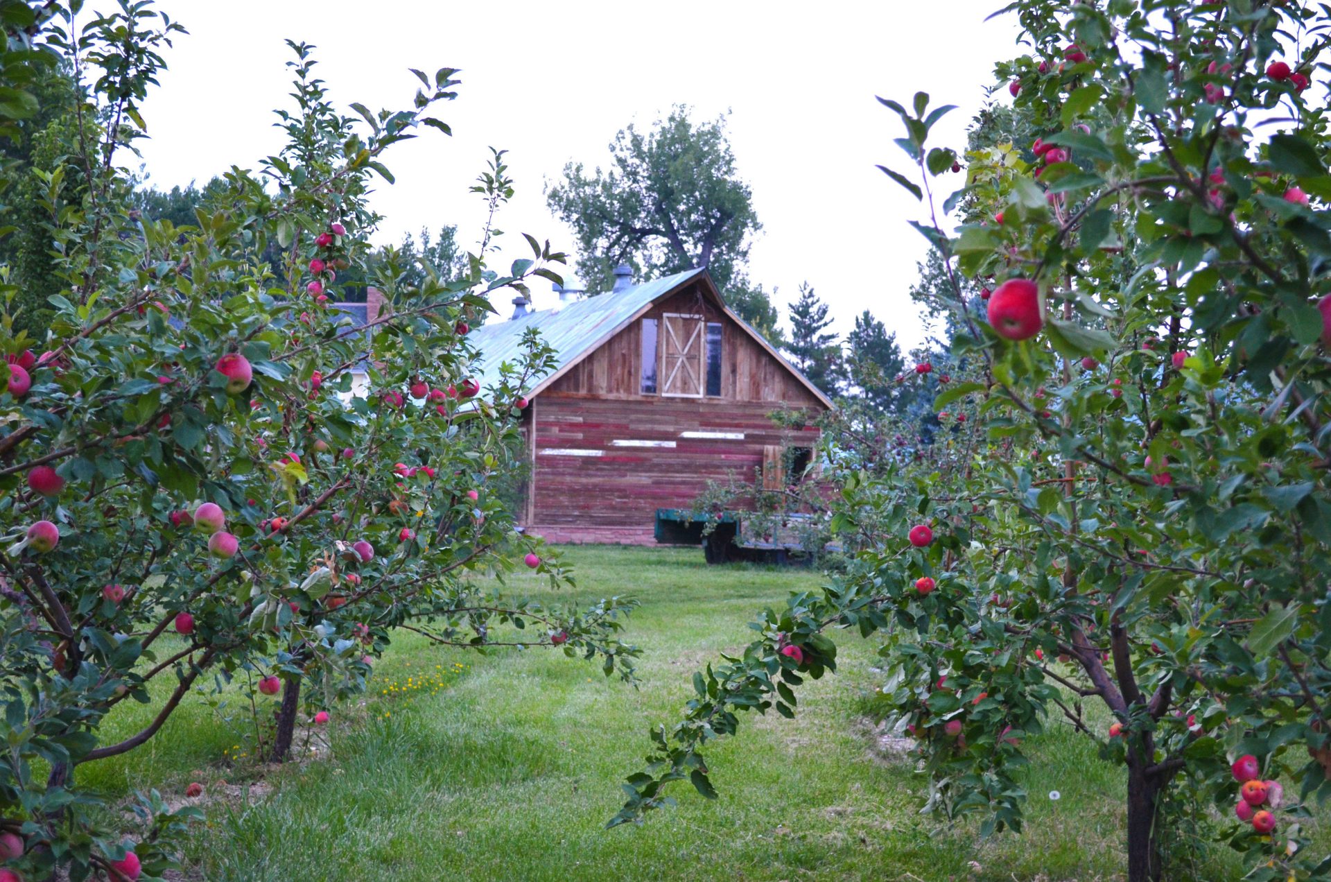 Family Farm Digs Up Dirt on Kalamazoo County Township