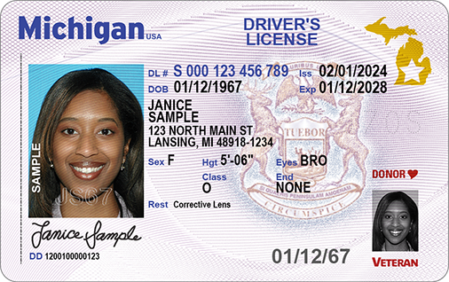 Return of Green and White License Plates, New Driver's Licenses, and ...