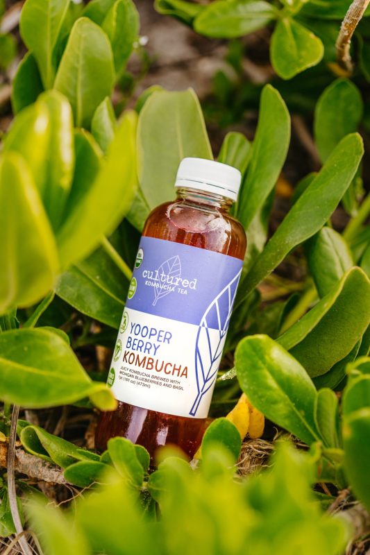 Traverse City Woman-Owned Kombucha Company Brings a Burst of Flavor to ...