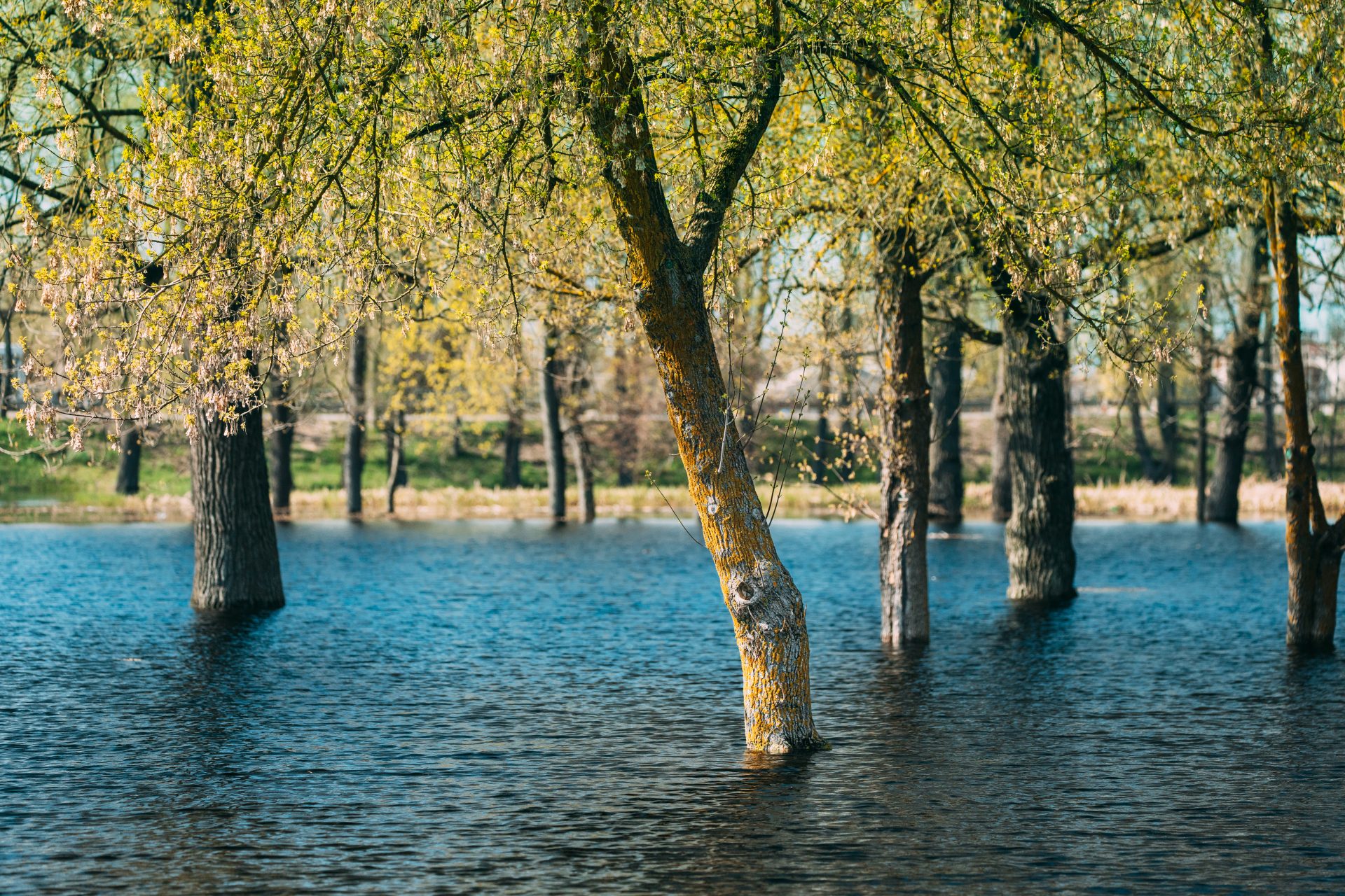 Michigan State Police are Helping to Boost Communities' Defense Against ...