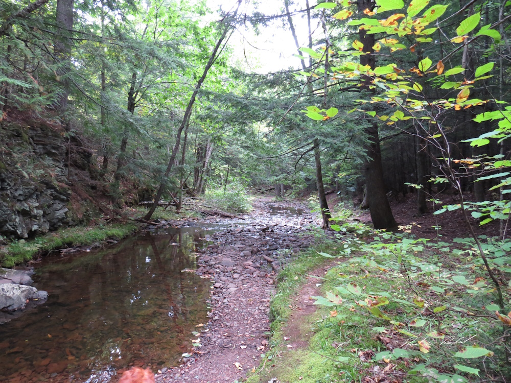 Road Trip of the Week: Union Mine Trail