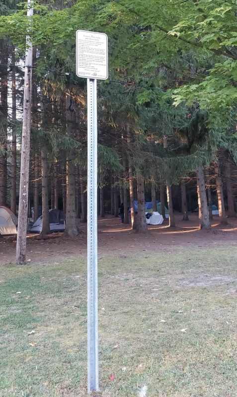 Pines of Peril: Community Says Traverse City’s Homeless Encampment is ...