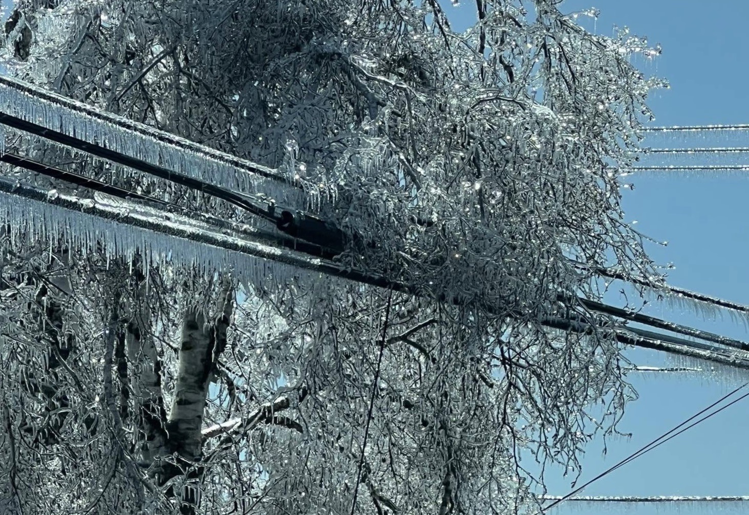 Nearly 1,500 Still Without Power 19 Days After Northern Michigan Ice Storm