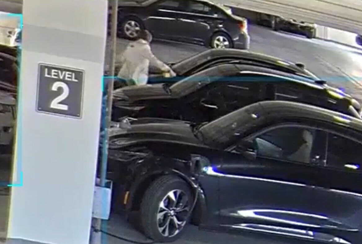 Michigan Democratic Lawmaker Silenced on House Floor After Cling Wrap Prank