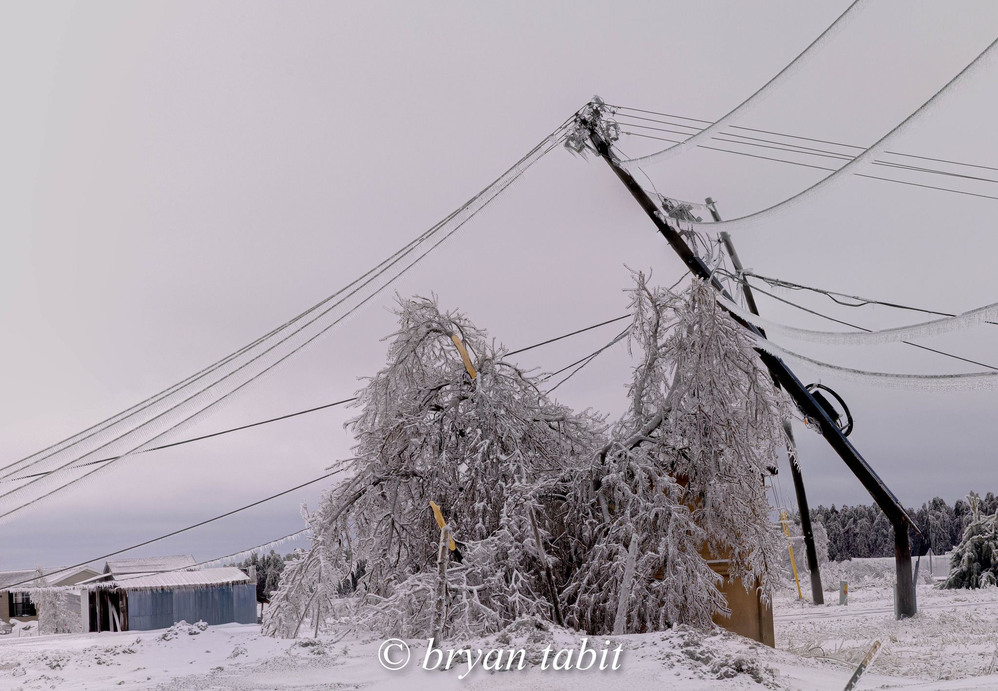 Frozen and Fractured: Gaylord Grapples with Ice Storm Devastation