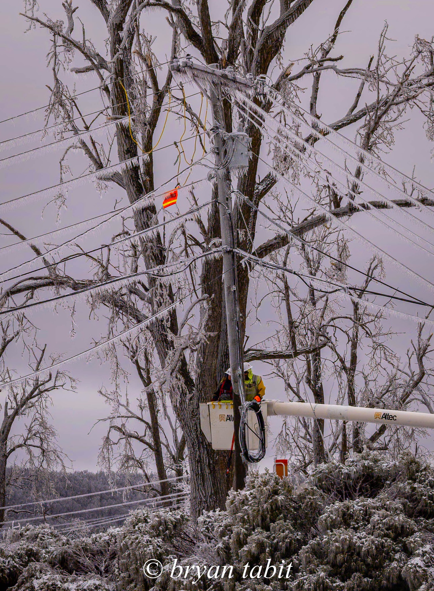 Frozen and Fractured: Gaylord Grapples with Ice Storm Devastation