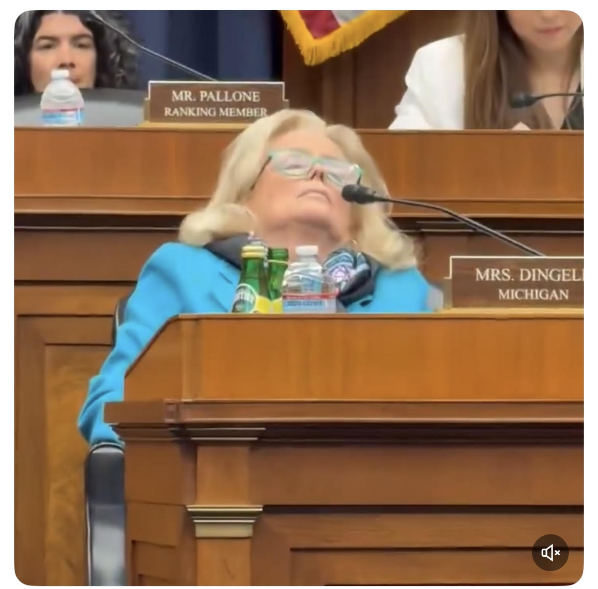 Wake Up Call: Congresswoman Debbie Dingell Dozes During Hearing