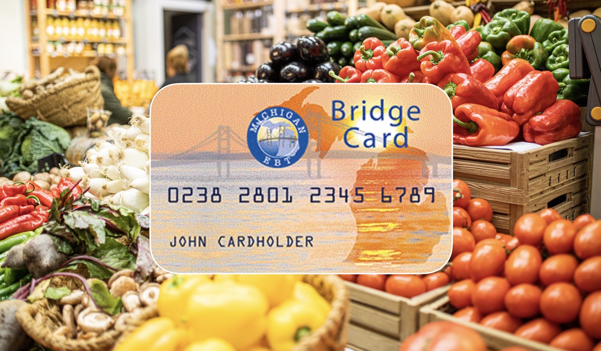 Swipe, Steal, Repeat: Michigan’s Food Stamp Fraud Report Shows 387% ...