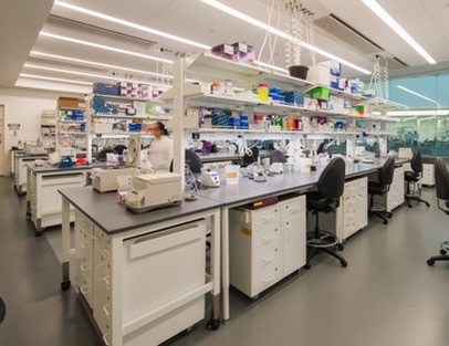 'Very Strange' UM Lab Case Ends With Guilty Plea and Immediate Deportation