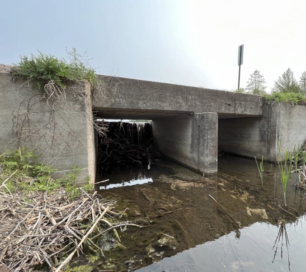 Dam Trouble: Residents Say the DNR Is Running Out the Clock and ...