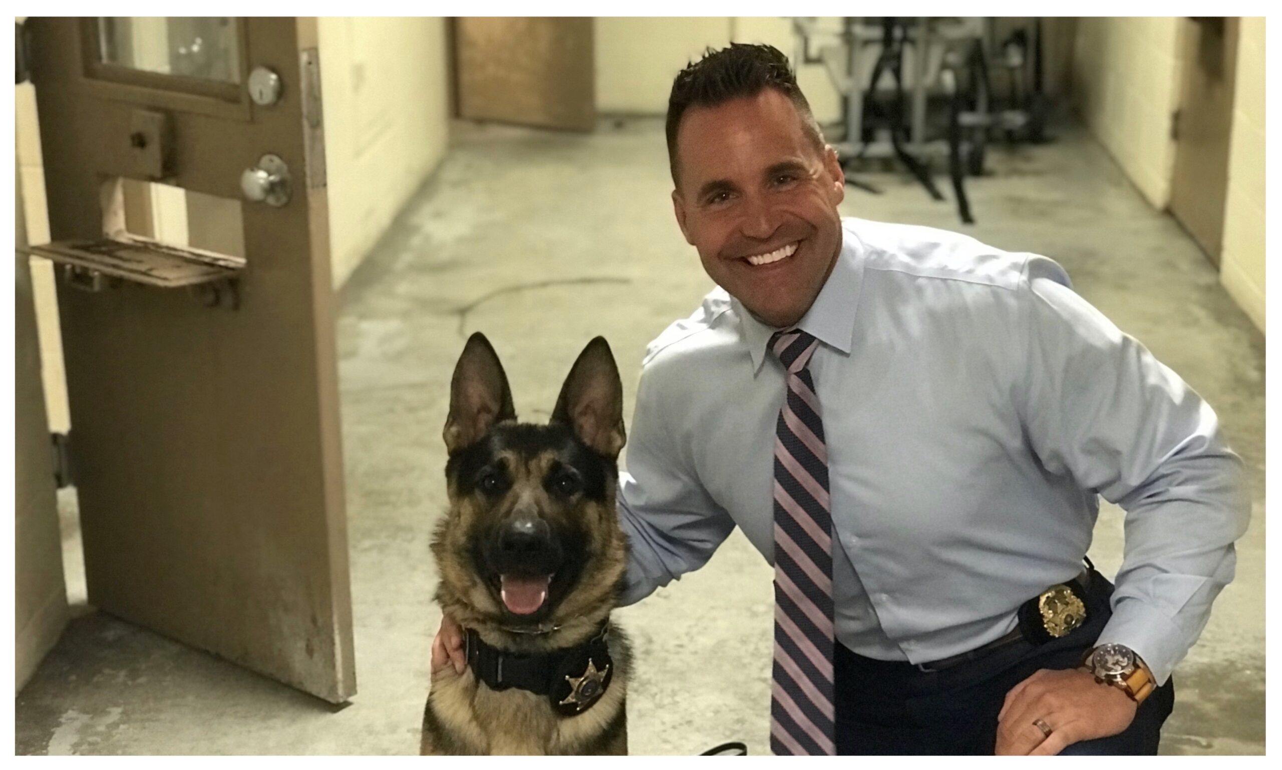 A Dog in the Fight: Sheriff Chris Swanson Puts Animal Protection Front ...