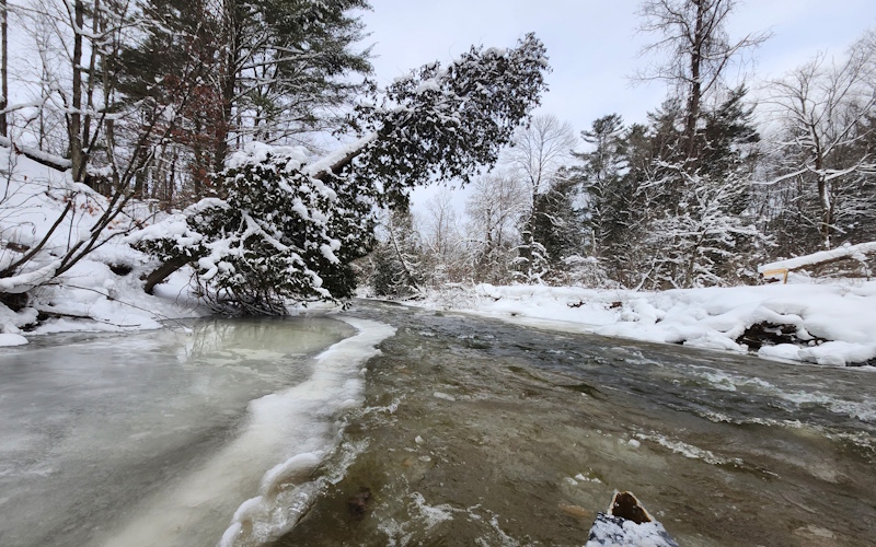 The Pine River Is the Road Trip You Didn’t Know You Needed