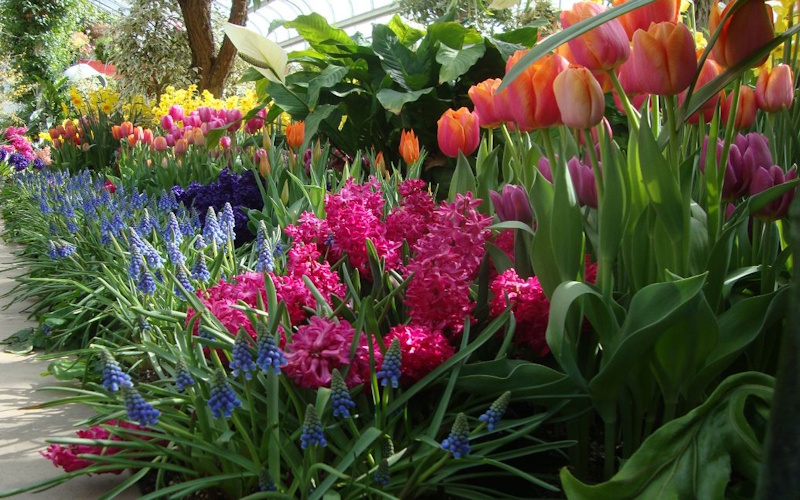 Hidden Lake Gardens in Tipton Is the Perfect Michigan Day Trip for ...
